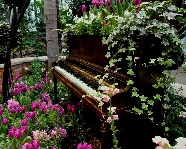 February 2019 – Spring into action, get your piano serviced for optimum ...